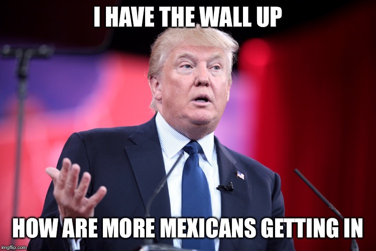 Image tagged in donald trump,wall,donald trump wall - Imgflip