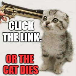 Image tagged in shoot cat - Imgflip