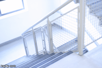 Animated GIF - Imgflip