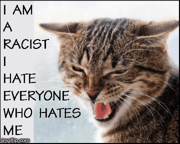 I hate everyone.... - Imgflip