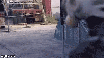 Turtle shell - Imgflip