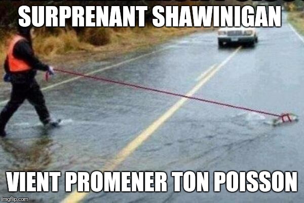 Walking my fish - Imgflip