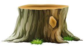 STUMP Blank Template - Imgflip