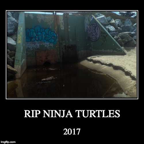 RIP NINJA TURTLES - Imgflip
