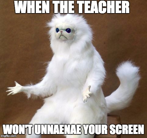 Cat With Hands - Imgflip