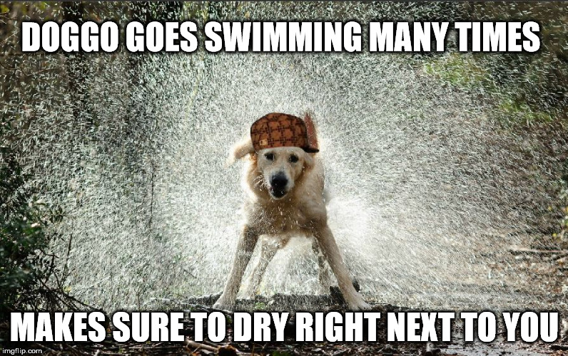 Every Freaking Time! - Imgflip