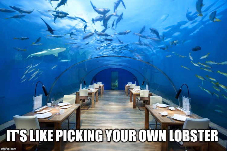 Sharks & Dinner - Imgflip