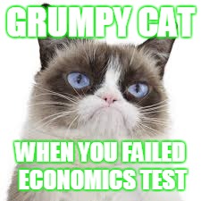 Image tagged in grumpy cat - Imgflip