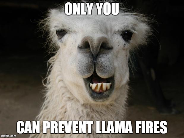 Because Llama - Imgflip