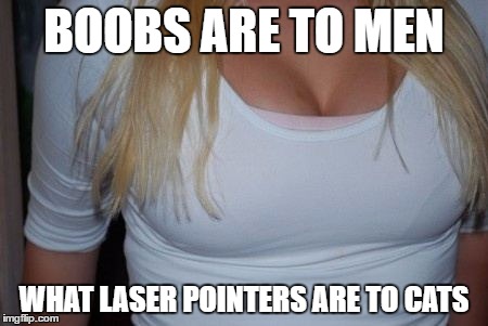 Cat Syndrome - Imgflip