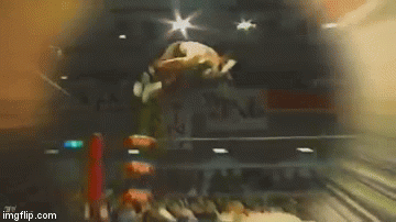 Hayabusa Profile GIF - Imgflip