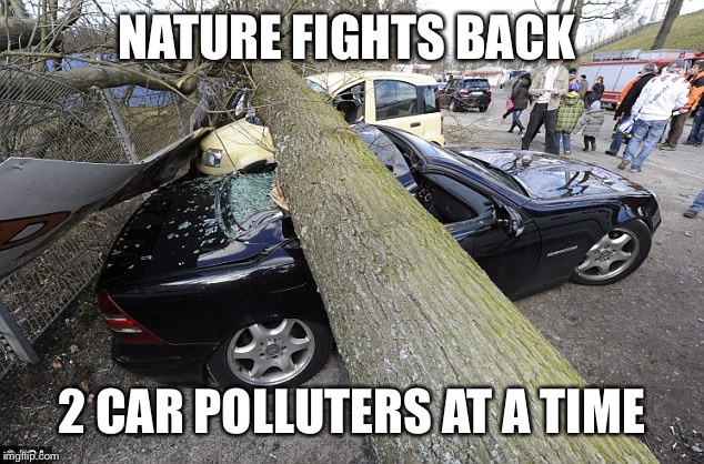 Image tagged in tired tree - Imgflip