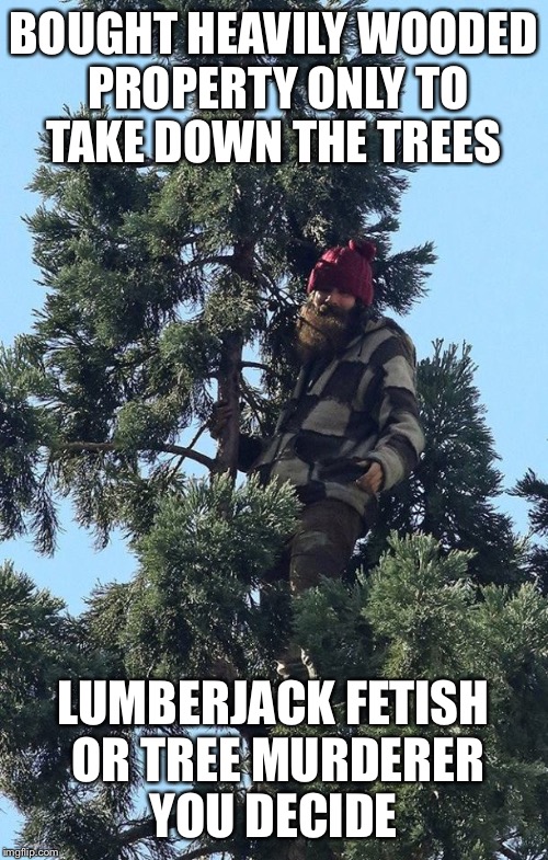 Image tagged in manintree - Imgflip