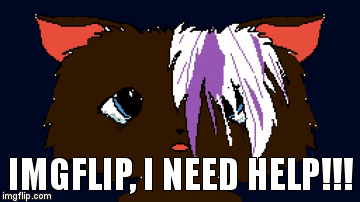 I need fans! i know my memes are dumb, but please! - Imgflip