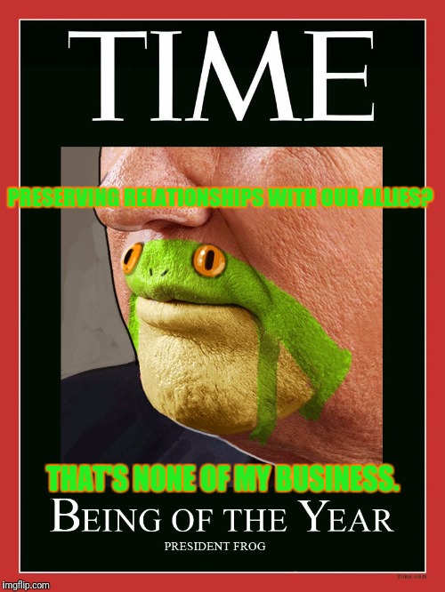 Image tagged in president frog - Imgflip