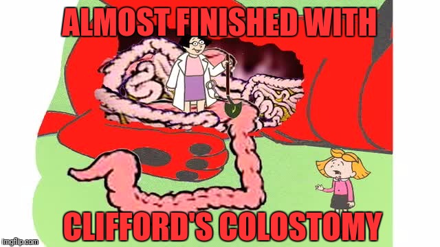 A question I keep asking. It probably takes the entire Birdwell Island ...