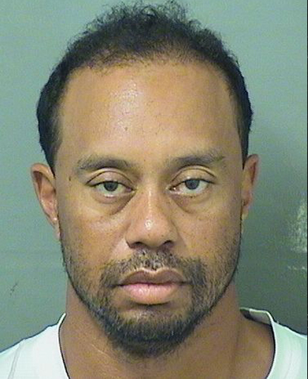 Tiger Woods Blank Template Imgflip