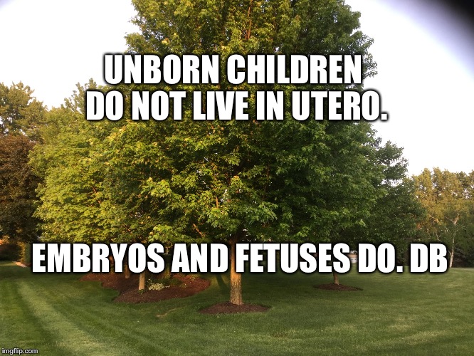Image tagged in abortion,fetus baby - Imgflip