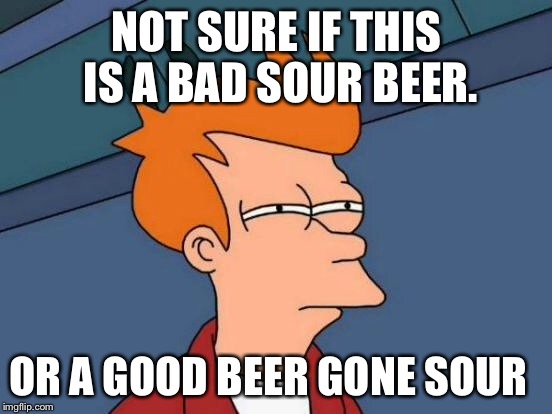 Futurama Fry Meme - Imgflip