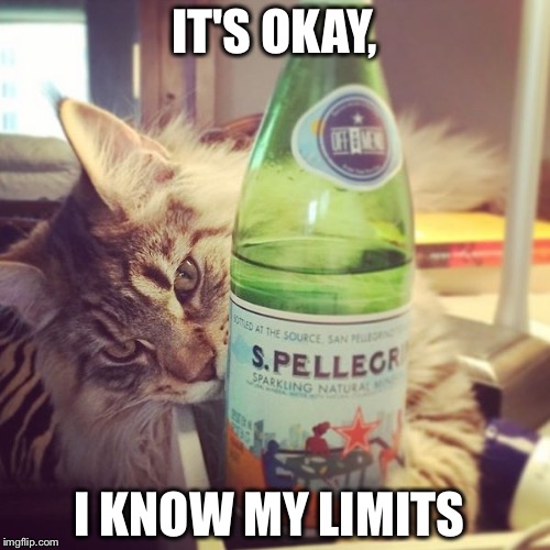 Image tagged in taco flay - Imgflip