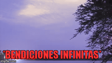 Animated GIF - Imgflip