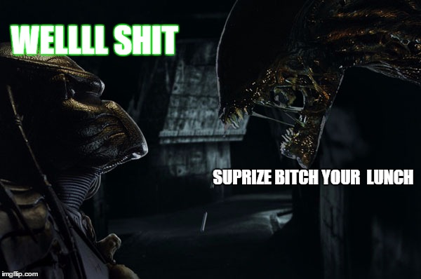 Alien vs Predator - Imgflip