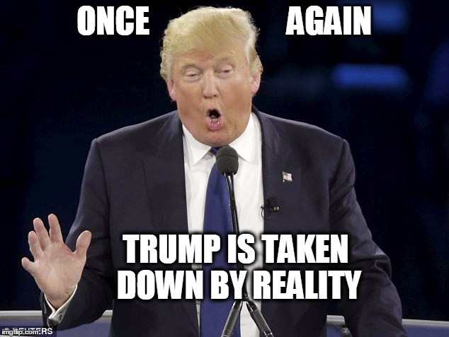 reality winner trump - Imgflip