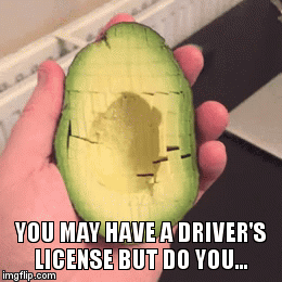 You may have a driver's license but do you... - Imgflip