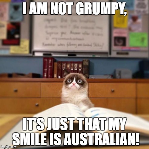 Grumpy Cat Reading - Imgflip