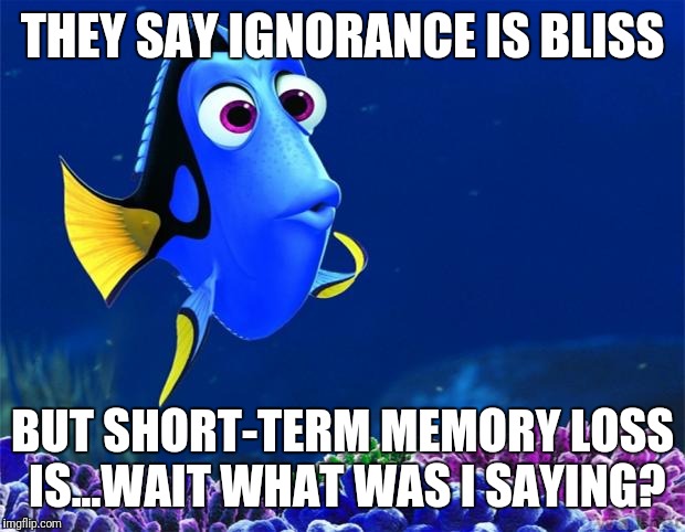 Dory Imgflip