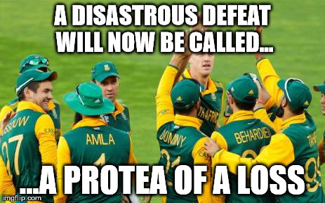 Image tagged in protea of a loss - Imgflip
