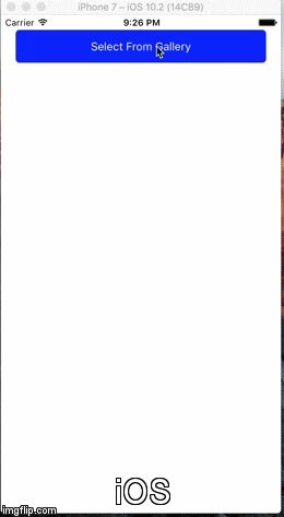 Animated GIF - Imgflip