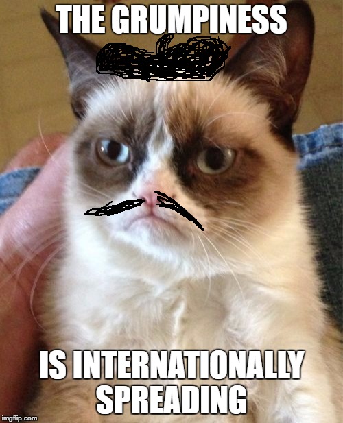 Grumpy Cat Meme - Imgflip