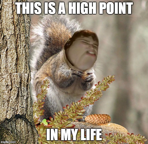 Squirrel Face Memes