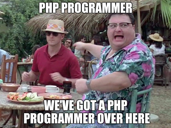 A comic about PHP good parts : r/ProgrammerHumor