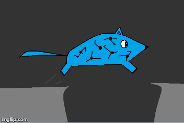 cool fox gifs no one take - Imgflip