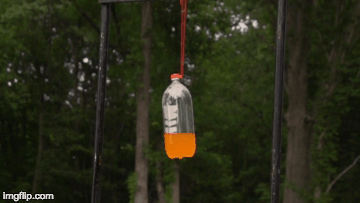 Animated GIF - Imgflip