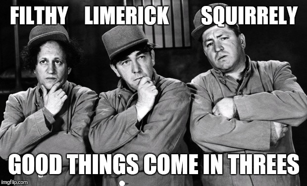 Squirrel Week, Limerick Week and Filth Week all rolled into one - Imgflip