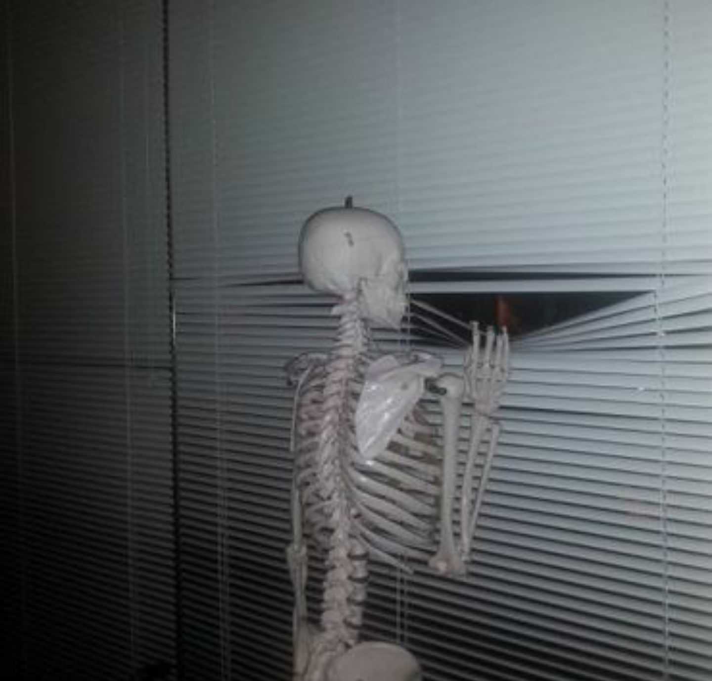 Skeleton Waiting Blank Template Imgflip