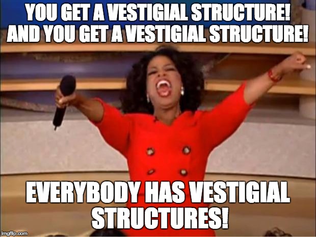 Vestigial Structure Memes I Missed My 10yr Cake Day 3 Days Ago!! Have