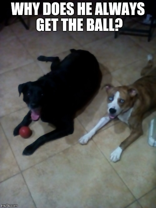 Image tagged in one ball is not enough - Imgflip