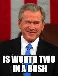 George Bush Meme - Imgflip