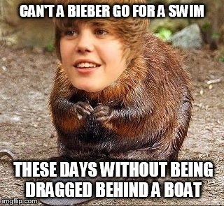Bieber beaver - Imgflip