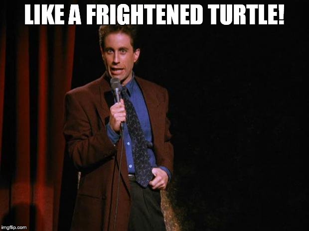 Seinfeld - Imgflip
