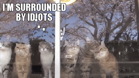 Just another normal day at work - Imgflip