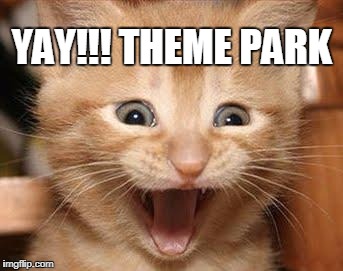 Excited Cat Meme - Imgflip