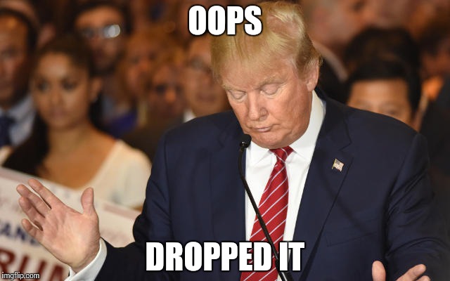 Bad Pun Trump - Imgflip