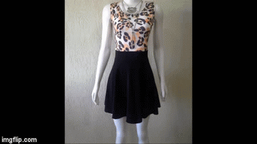 Animated GIF - Imgflip