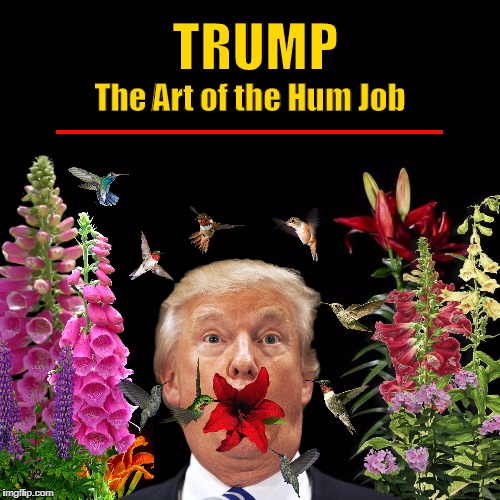 Trump The Art of the Hum Job - Imgflip
