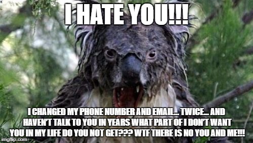 Scary Koala Meme